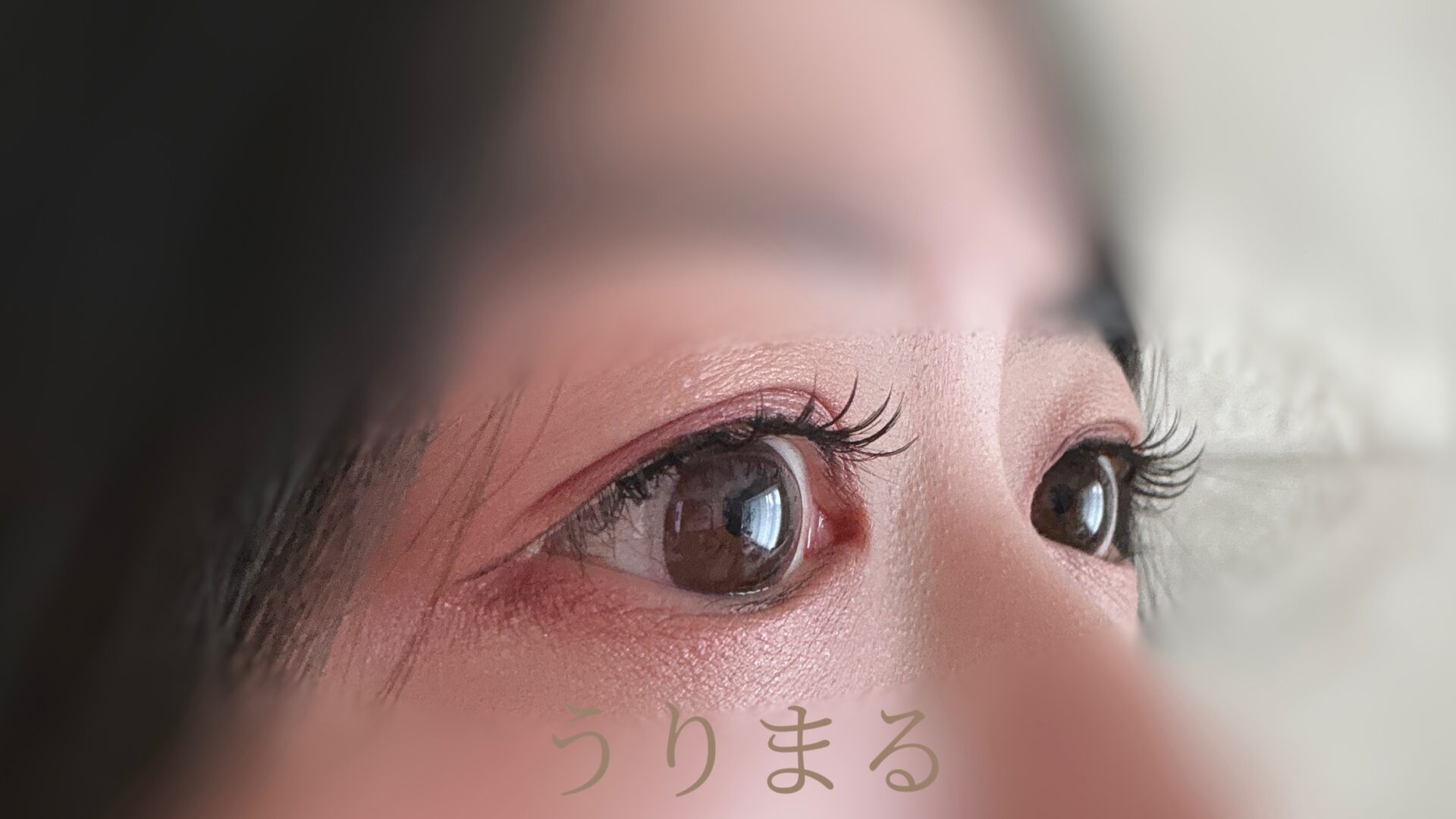 マグネットつけまつげ／WASADO 商品紹介＆使用レビュー – うりまるブログ