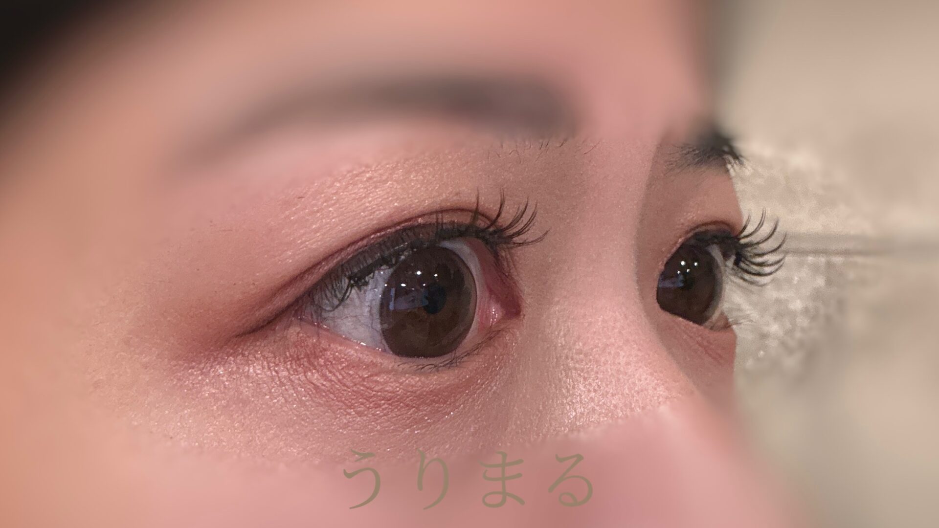 マグネットつけまつげ／WASADO 商品紹介＆使用レビュー – うりまるブログ